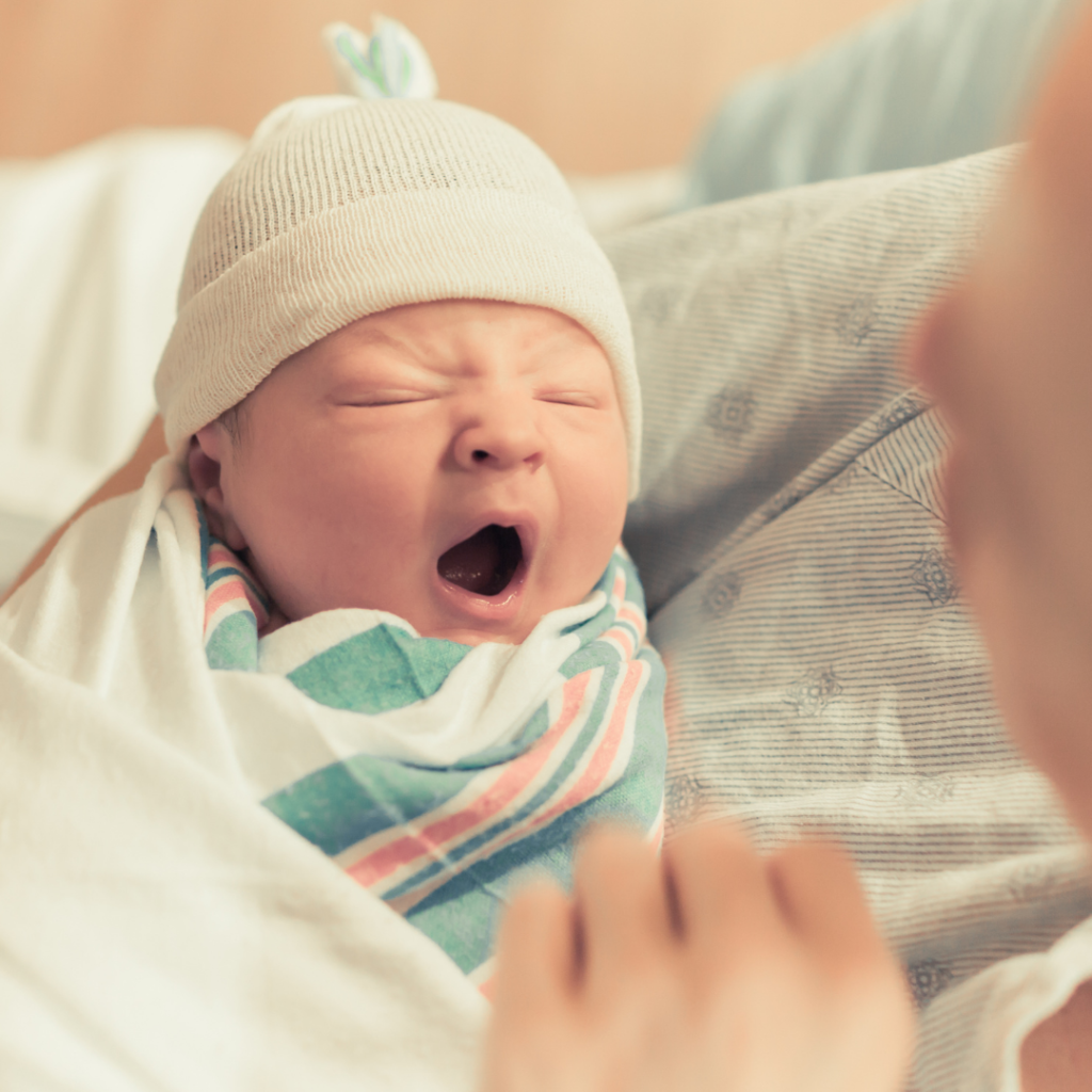 The Next Nine Months - March 2026 - Eve Health